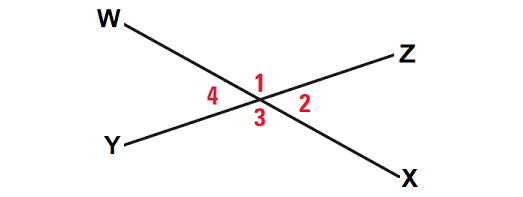 Linear Pair Postulate