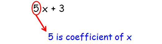 Identify the terms and coefficients