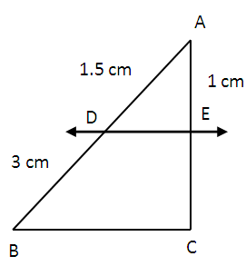 Basic Proportionality Theorem and its Converse Worksheet