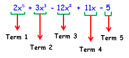 Identify the terms and coefficients