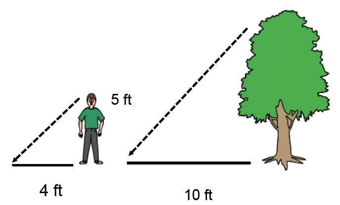 Similar Shapes and Scale Drawings Worksheet