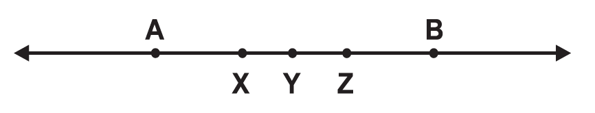 Lines intervals and rays