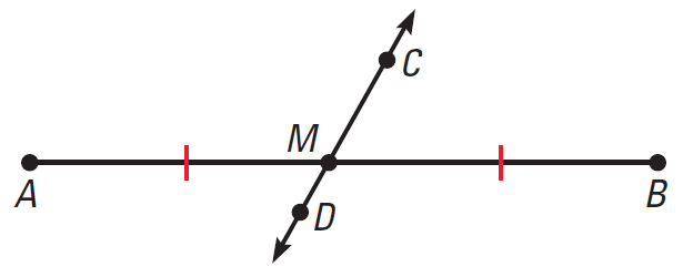 Segment and Angle Bisectors
