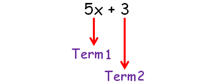 Identify the terms and coefficients